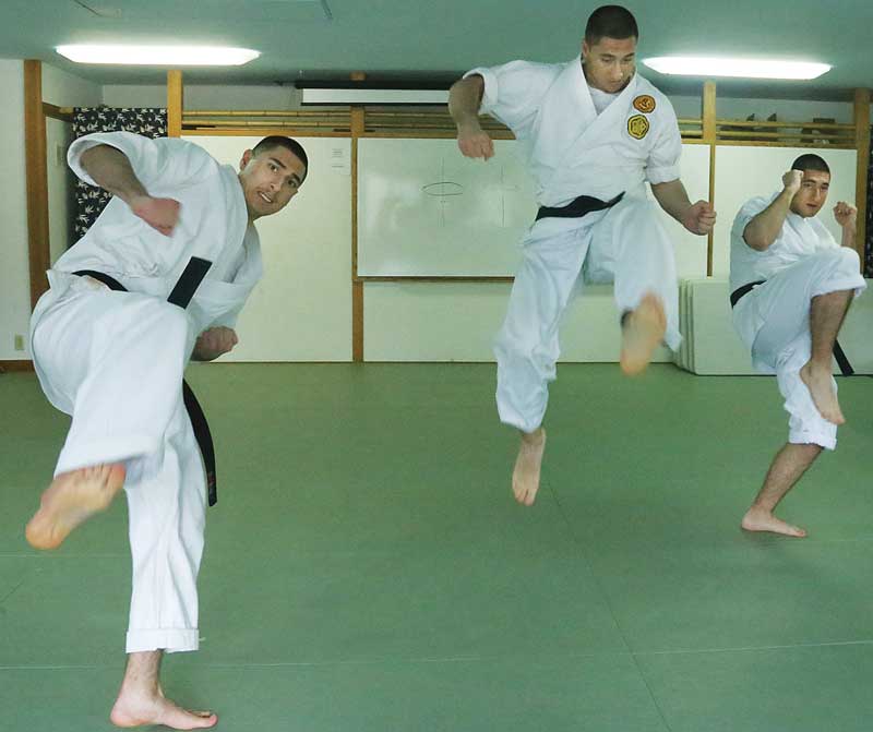 Black belt brothers take life lessons from karate | The Pajaronian ...