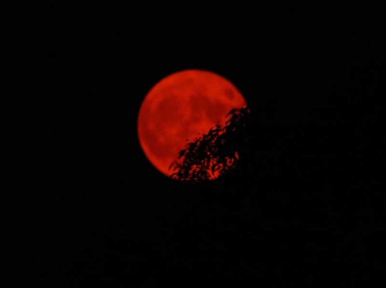 Big red moon overhead | About Town | The Pajaronian | Watsonville, CA