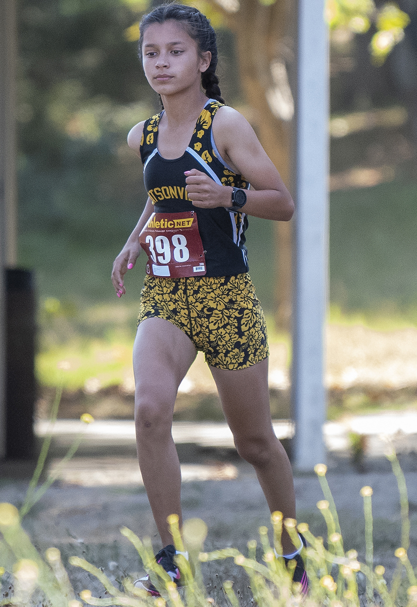 Local Roundup: Cross country off and running | The Pajaronian ...