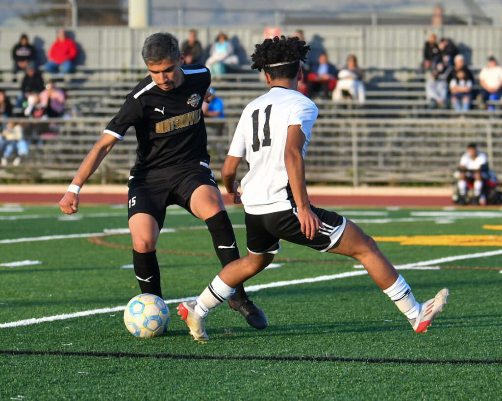 ‘Catz blank Modesto to advance to CIF NorCal D-I semifinals | Boys ...