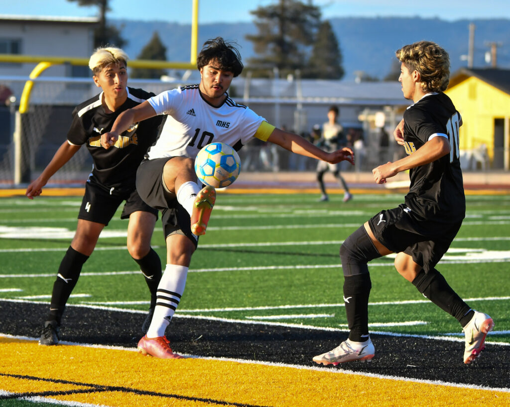 ‘Catz blank Modesto to advance to CIF NorCal D-I semifinals | Boys ...