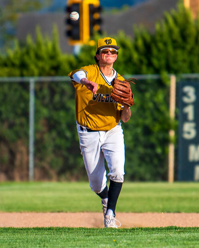 Photos: Watsonville Wildcatz baseball alumni game | The Pajaronian ...