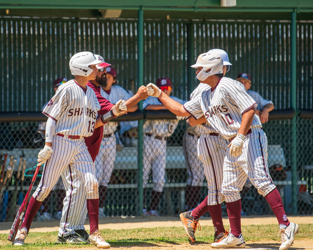 Sharks one step closer to reaching D-IV title game | CCS baseball | The ...
