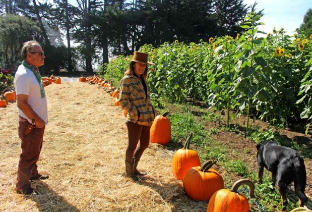 Watsonville’s Crystal Bay Farm opens annual pumpkin patch