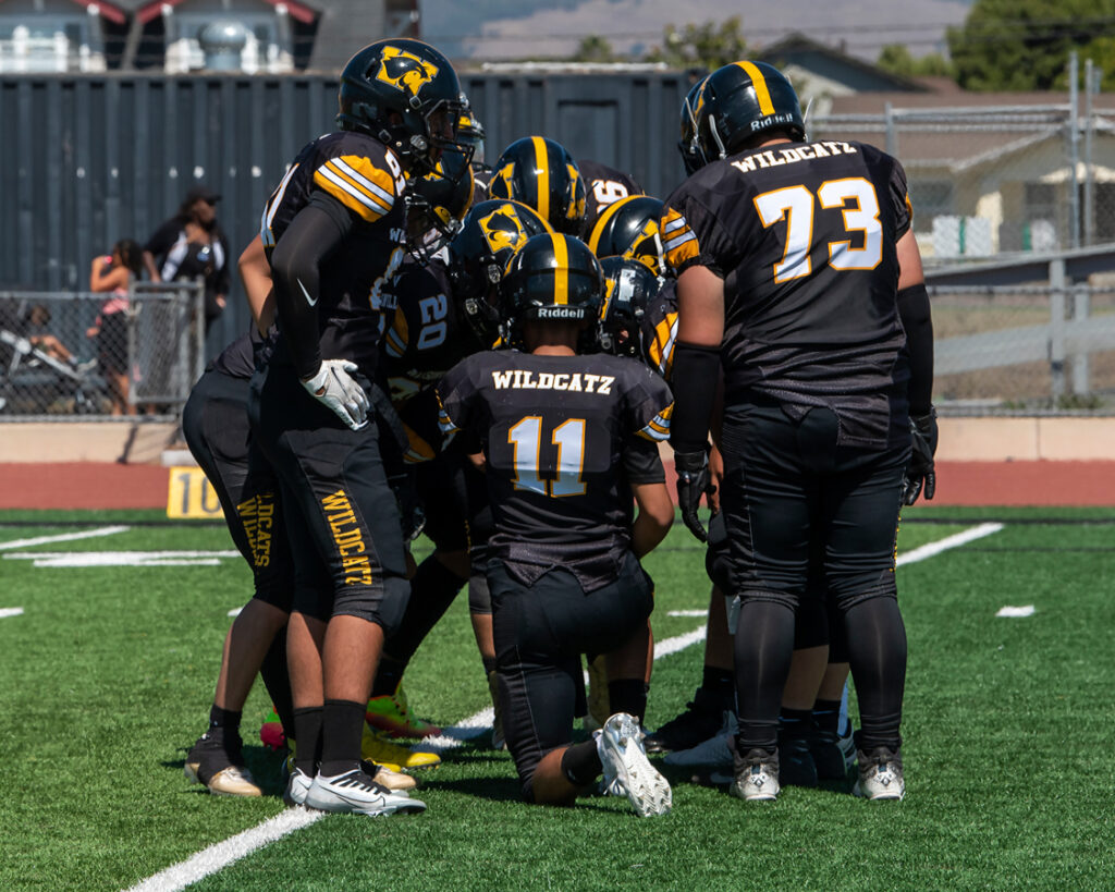 Photos: ‘Catz declawed by Cardinals in non-league action | Week 2 ...
