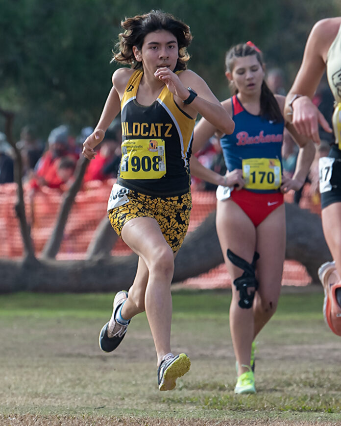 Photos: MVC’s James Ponzio has top-10 finish at state finals | High ...