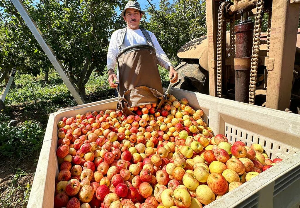 Farms to open doors to the public | The Pajaronian | Watsonville, CA