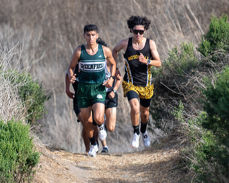 ‘Catz claw their way into the CCS Championships | High school cross ...