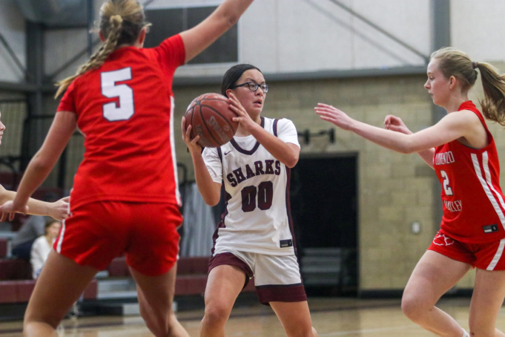 Sharks’ senior leadership leads to hot start | Girls basketball | The ...