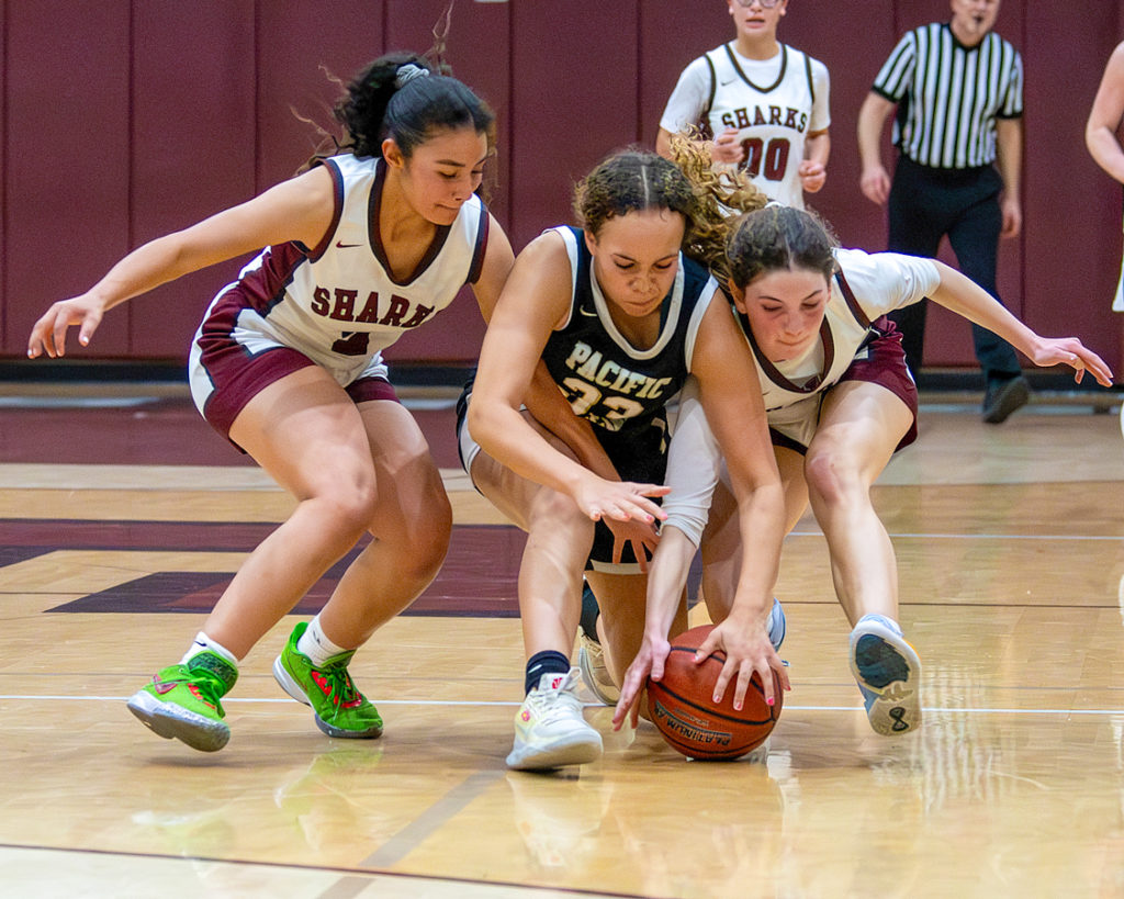 Sharks secure first ever outright league title | Girls Basketball | The ...