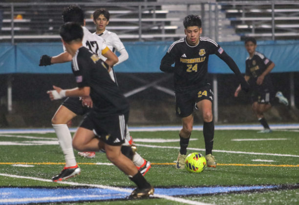 ‘Catz’s boys’ soccer suffers second-half collapse in loss to Salinas ...