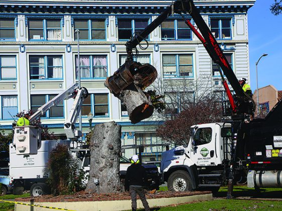 Watsonville Plaza project moves ahead | The Pajaronian | Watsonville, CA